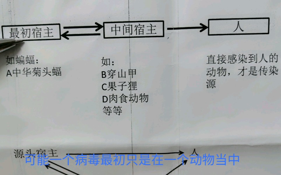 病毒从哪来?病毒这么多,为何我们染新病?钟南山管轶等不为人知的贡献!