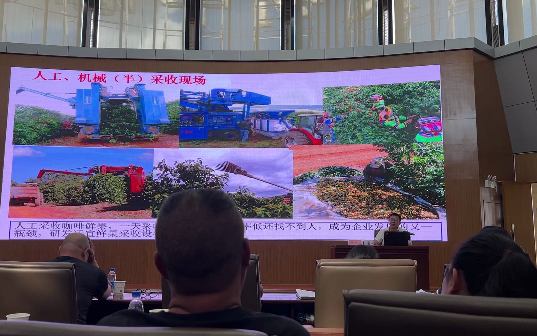 文老师 (23)普洱哪里买咖啡豆,普洱咖啡豆销售电话《咖啡产业高质量...