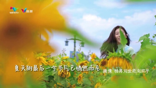 大暑:这个夏天,我们不留遗憾(潍坊市广播电视台 策划文案:马
