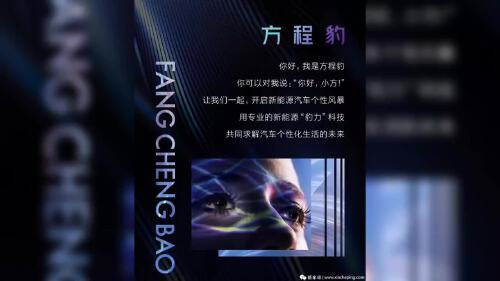 比亚迪F品牌定名方程豹与用户共同求解汽个性化生活的未来