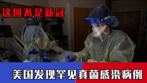 这回不是新冠,美国发现罕见真菌感染病例,美疾控:构成全球威胁