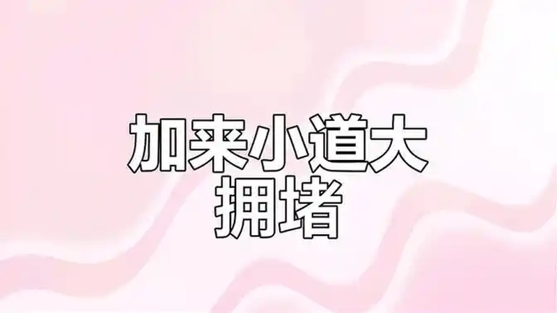 欧洲卡车模拟2:加来小道堵车严重,爆闪改装效果惊人
