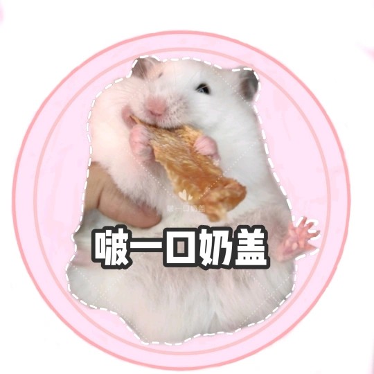 啵一口奶盖呀呀 