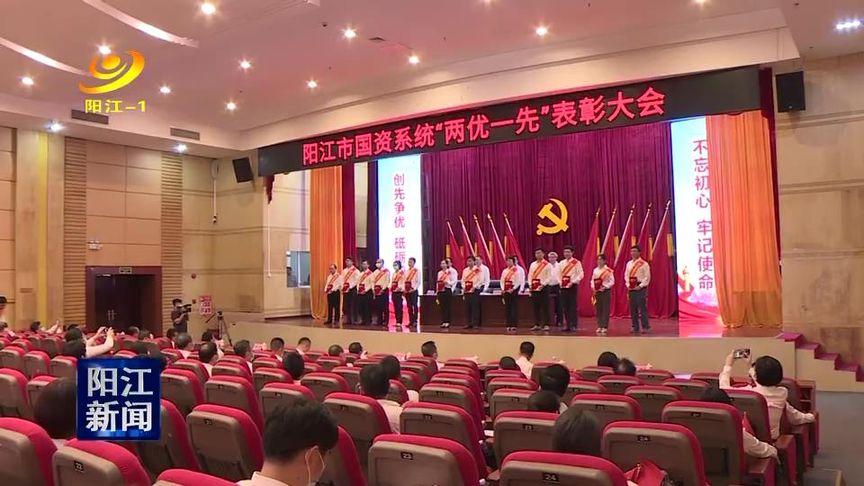 市国资系统表彰“两优一先”代表