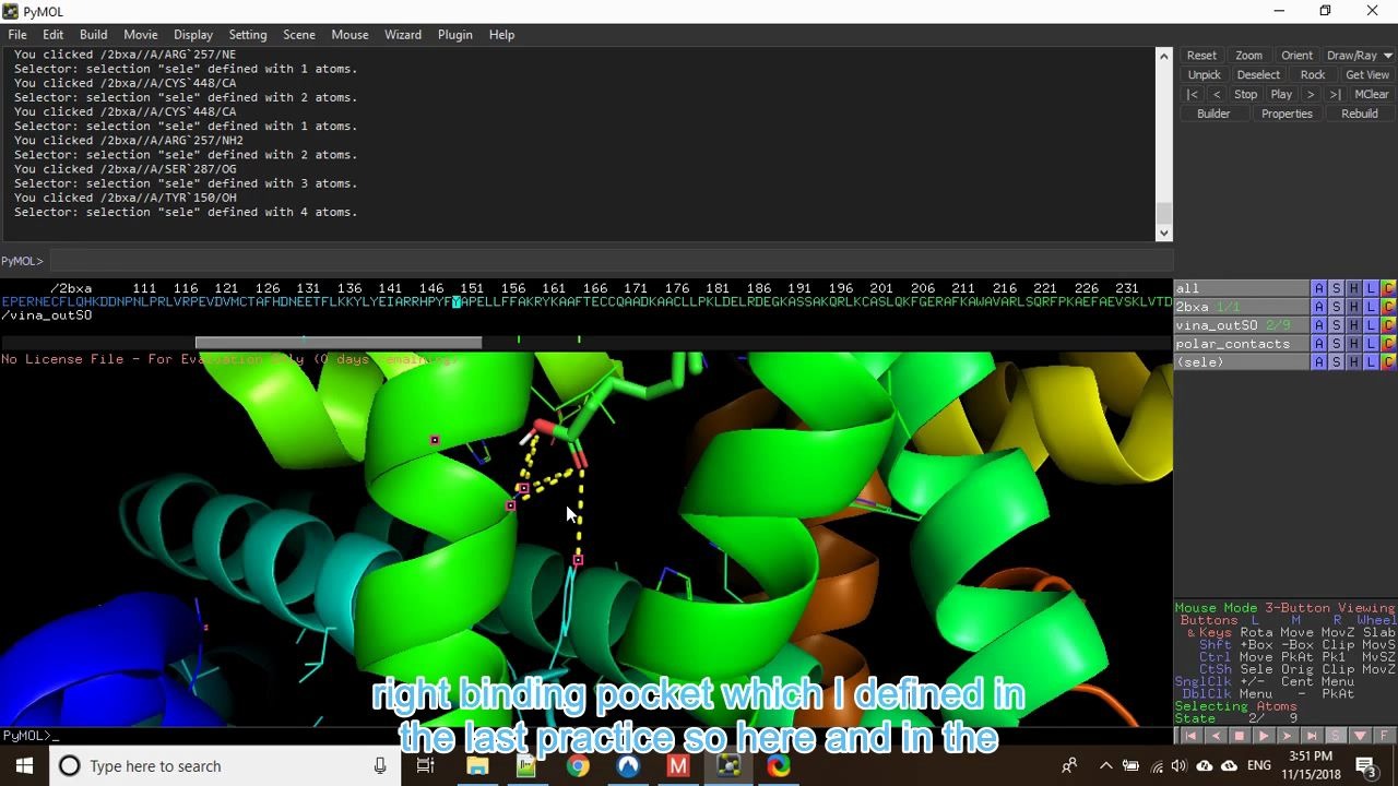 【PyMol】Autodock Vina Result Analysis with PyMol