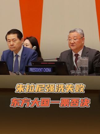 ...不好使,中国一票否决 #联合国 #联合国安理会 #一票否决权 #朱拉尼