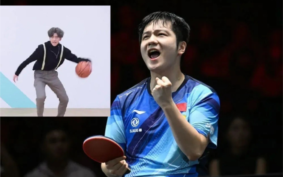 小黑子alc(樊振东alc)vis 张继科alc该怎么选择?隐藏俩年半的蝴蝶设计...