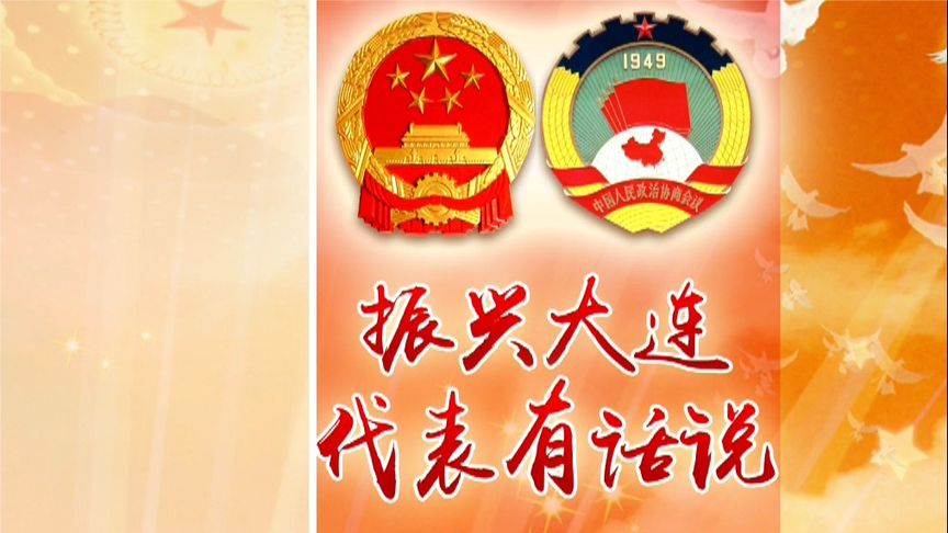 代表与记者“隔空”对话 大连两会首次启用网络视频采访中心