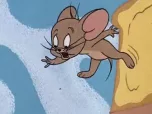 猫和老鼠 06