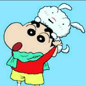 爱玩乐高的轩 