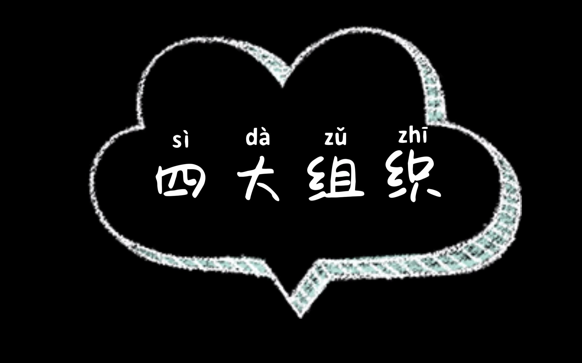 【动物学】第一次实验_显微镜观察口腔上皮细胞_四大组织