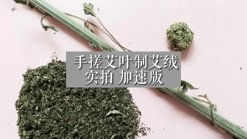加速版 实拍 手搓艾叶制艾绒 全过程 手工搓 真艾绒 制作方法