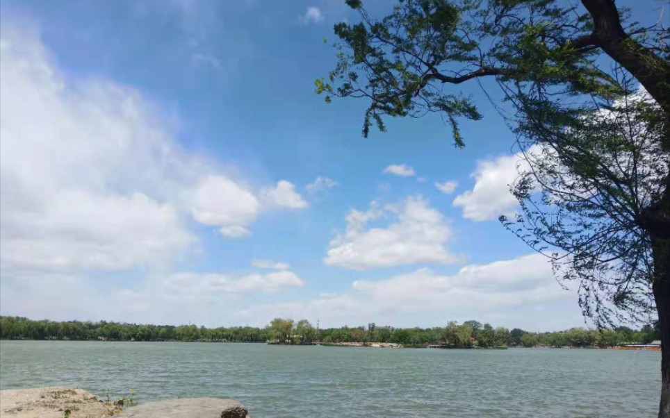 【CWU钢琴基础三】自选曲目四手联弹《让我们荡起双桨》