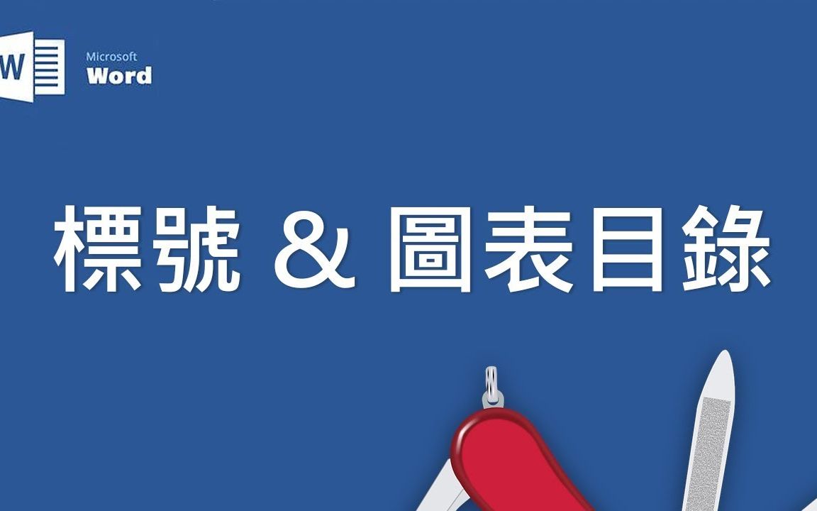 Microsoft Word 基础教学 18:标号 图表目录制作