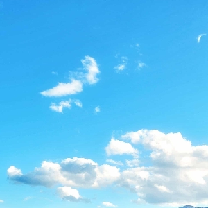 你们的顾哥在此 