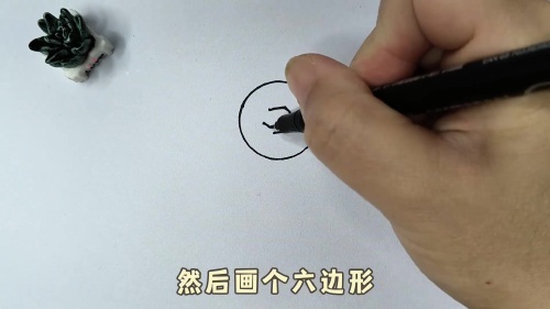 怎么画动物?画法简单又可爱的乌龟简笔画来了