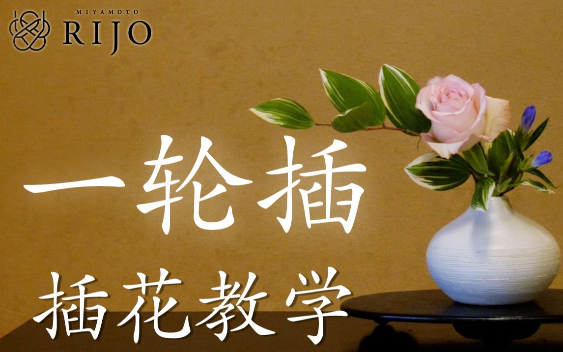 【插花教程】一轮插插花教学 简单易懂的插花教学