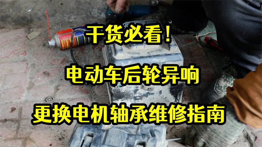 【潘老爹】干货必看!电动车后轮异响,更换电机轴承维修指南