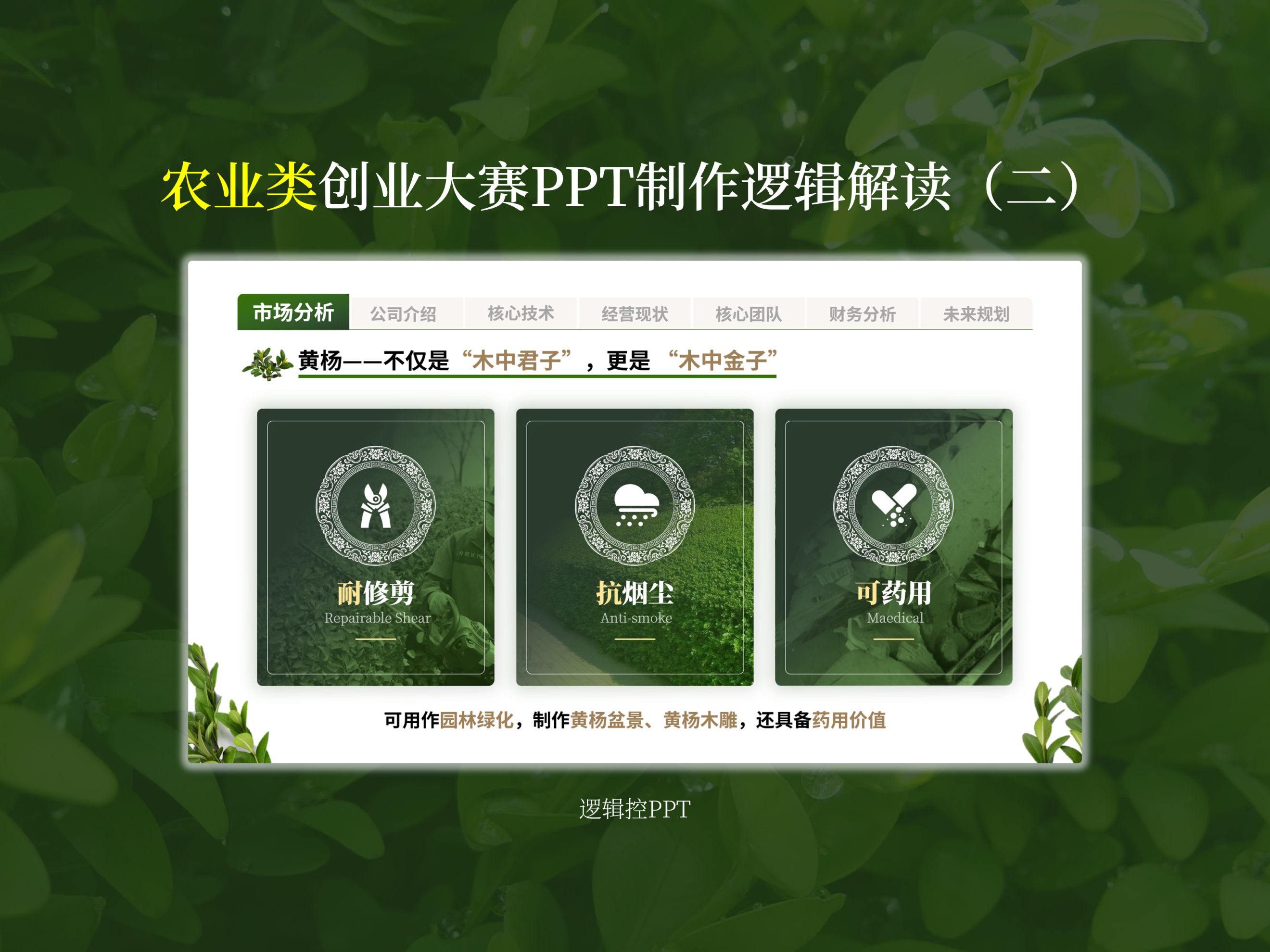 农业类互联网创新创业大赛PPT,制作逻辑解读(二):市场分析页