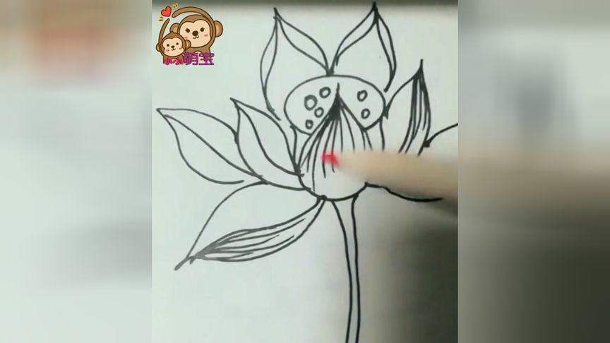 育儿简笔画:画荷花,喜欢简笔画的的快学习吧,宝宝一起画吧