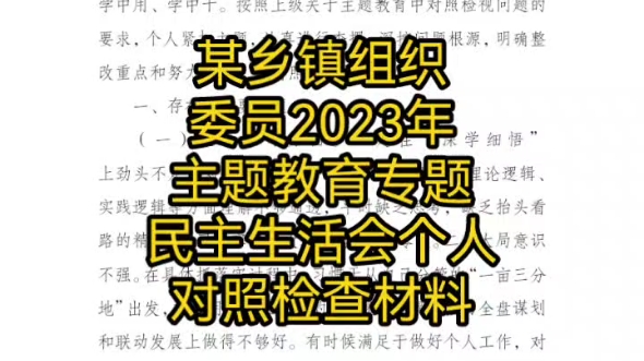 某乡镇组织委员2023年主题教育专题民主生活会个人对照检查材料