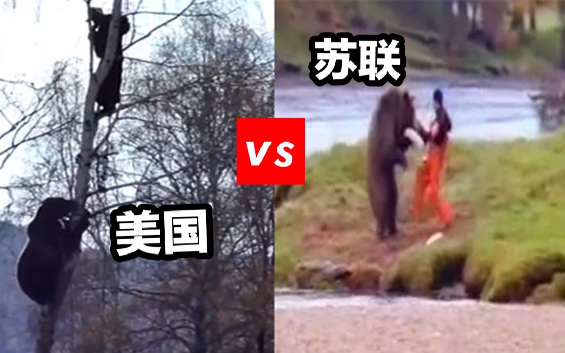 美国vs苏联 美国人和俄罗斯人在野外遇到熊的不同反应