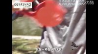 比熊犬咬人怎么办