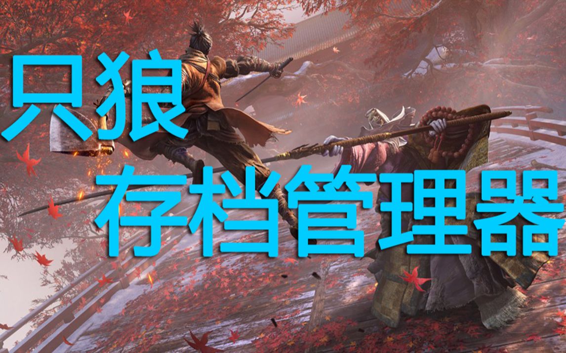 只狼存档管理器 使用教程