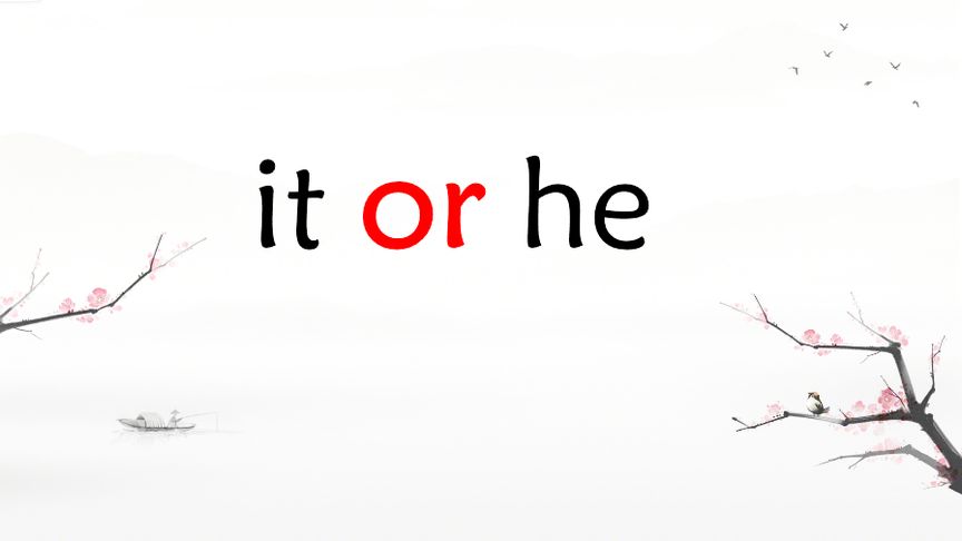 it和he都可以指代人,有什么区别呢