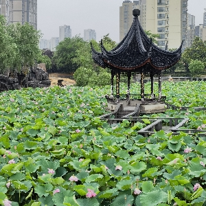 在学了真的在学了呢 