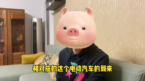 电动汽车品牌大揭秘!这几款性价比超高,买前必看!