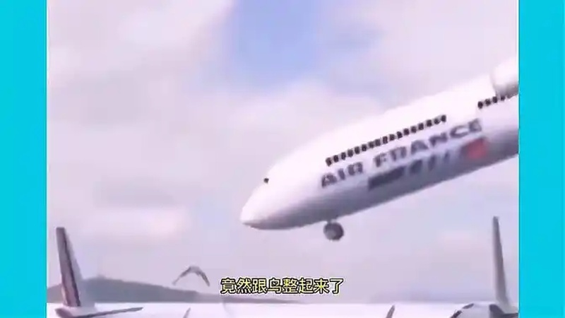 搞笑视频 飞机还用煽动翅膀飞行么,乘坐这样飞一个月能到家么!