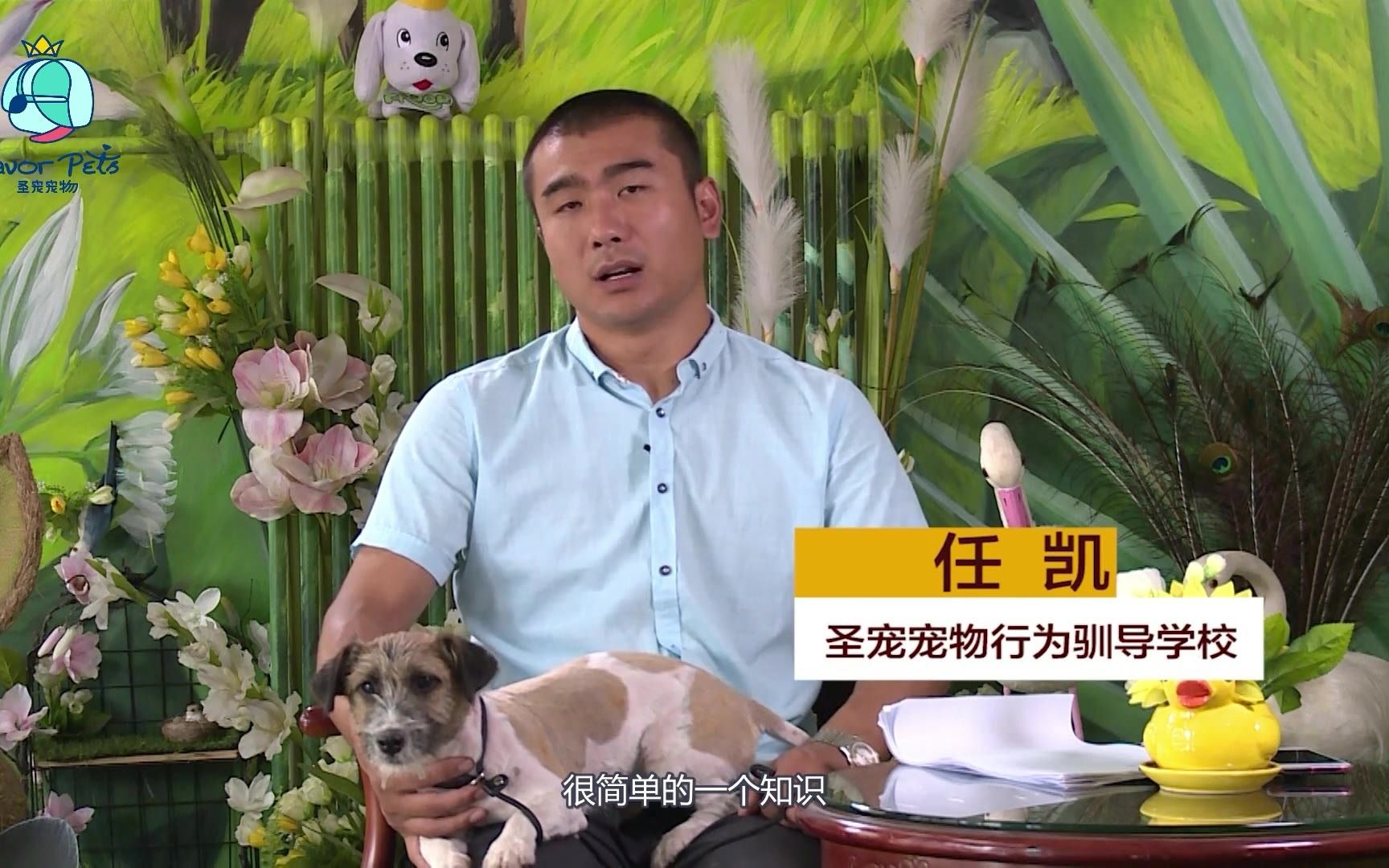 圣宠训犬师培训学校怎么样?更专业的驯导在圣宠