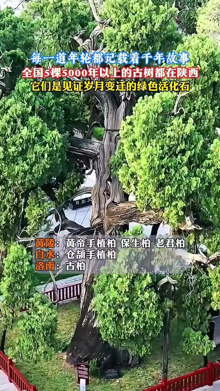 近日国家林业和草原局召开《古树名木保护条例》新闻发布会,全国5棵...