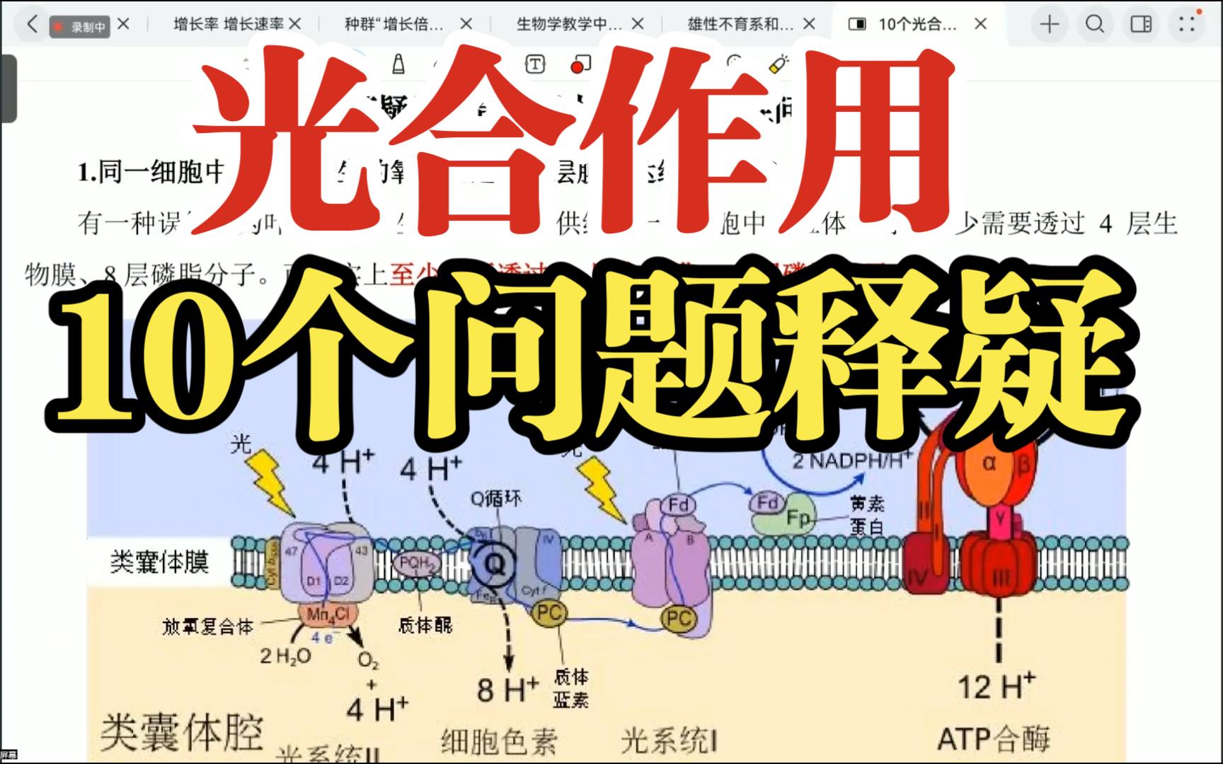 2025高中生物新高考!10个光合作用问题释疑!