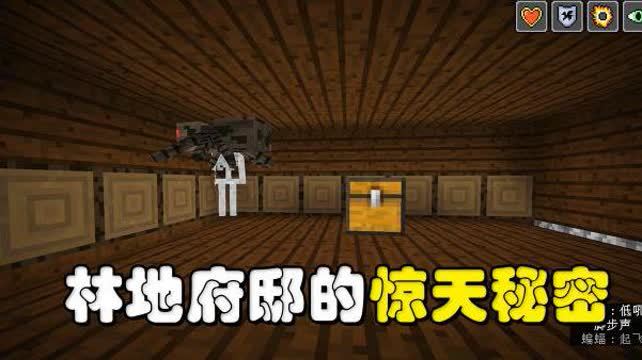 我的世界:林地府邸最大秘密!真正的宝藏竟然藏在了这里!