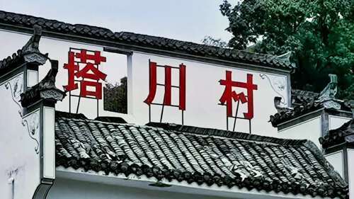 游塔川村再现当年下乡水稻收割时的场景