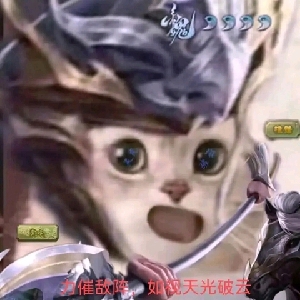 猫沙君 