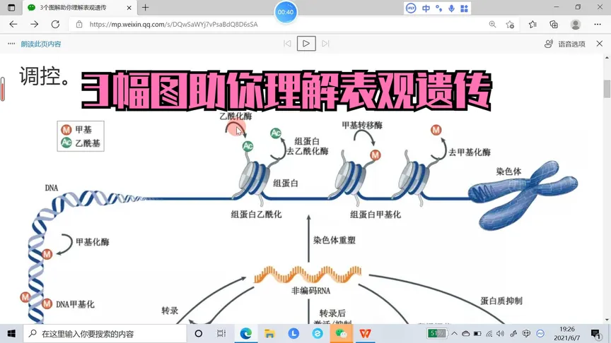 重温《3幅图助你理解表观遗传》