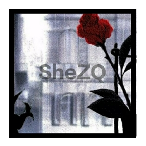 Re_SheZQ 