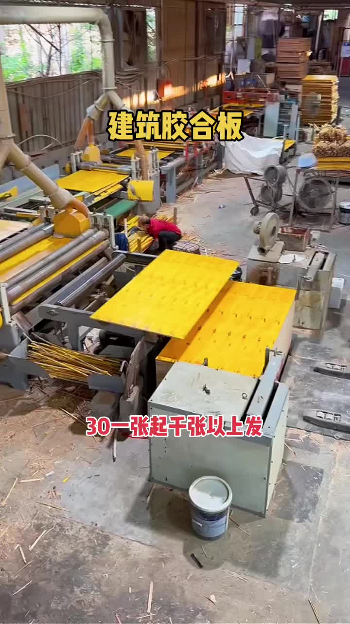 建筑模板价格多少一张 #全整❤️木模板#工地模板