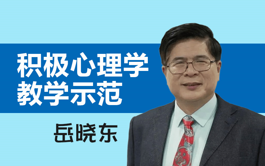 岳晓东讲心理咨询基础:关于咨询师个人成长、积极心理教学示范