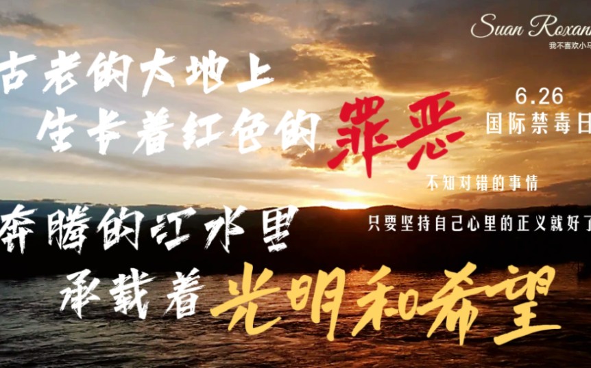 国际禁毒日|罂粟花美终将荼靡