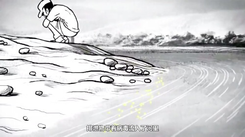一则短片,讲述霍乱病毒的故事动画短片小故事电影解说