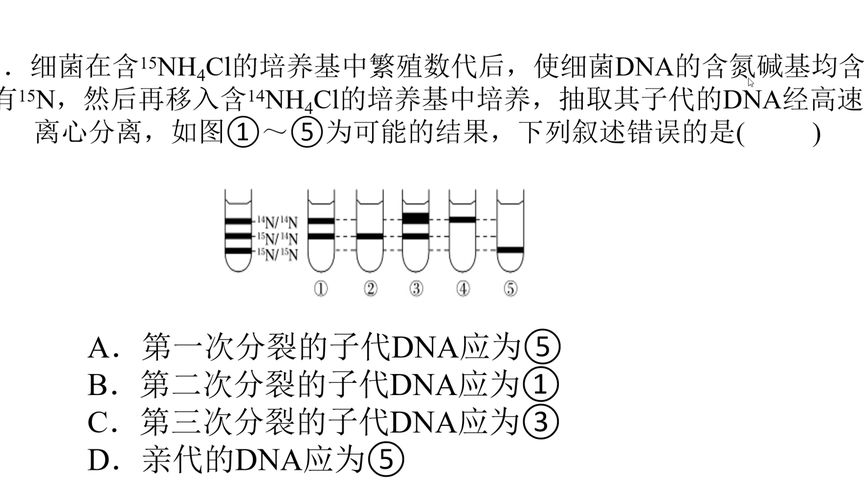 DNA复制的相关计算很多同学都不会,真的有这么难吗