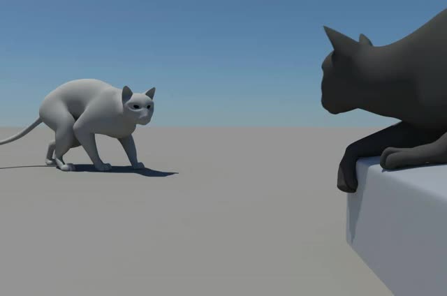 【三维动画】猫的动作参考(建议循环开启)