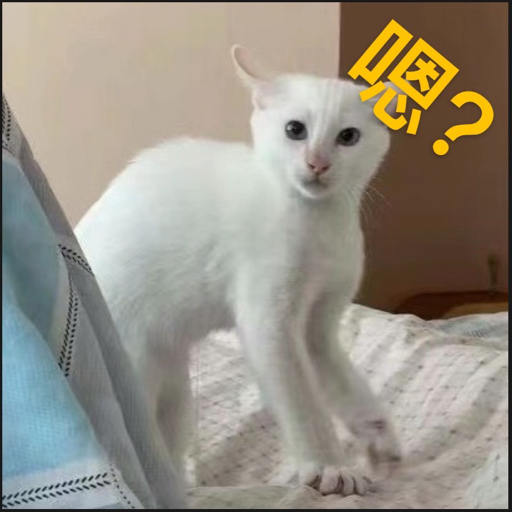 当铺小说家 
