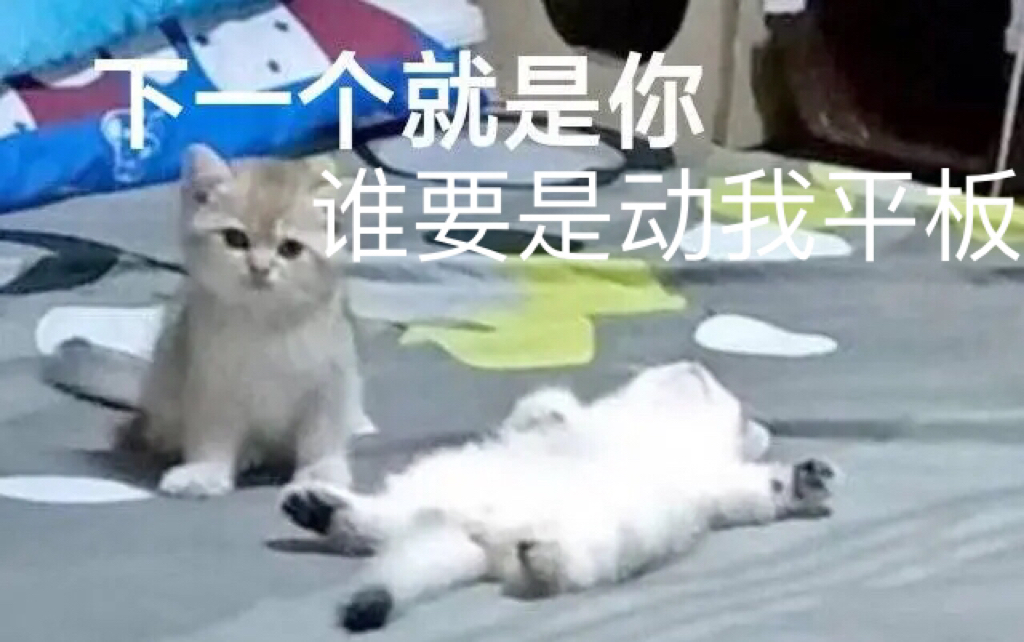 怎么在苹果上注测推特账号啊啊