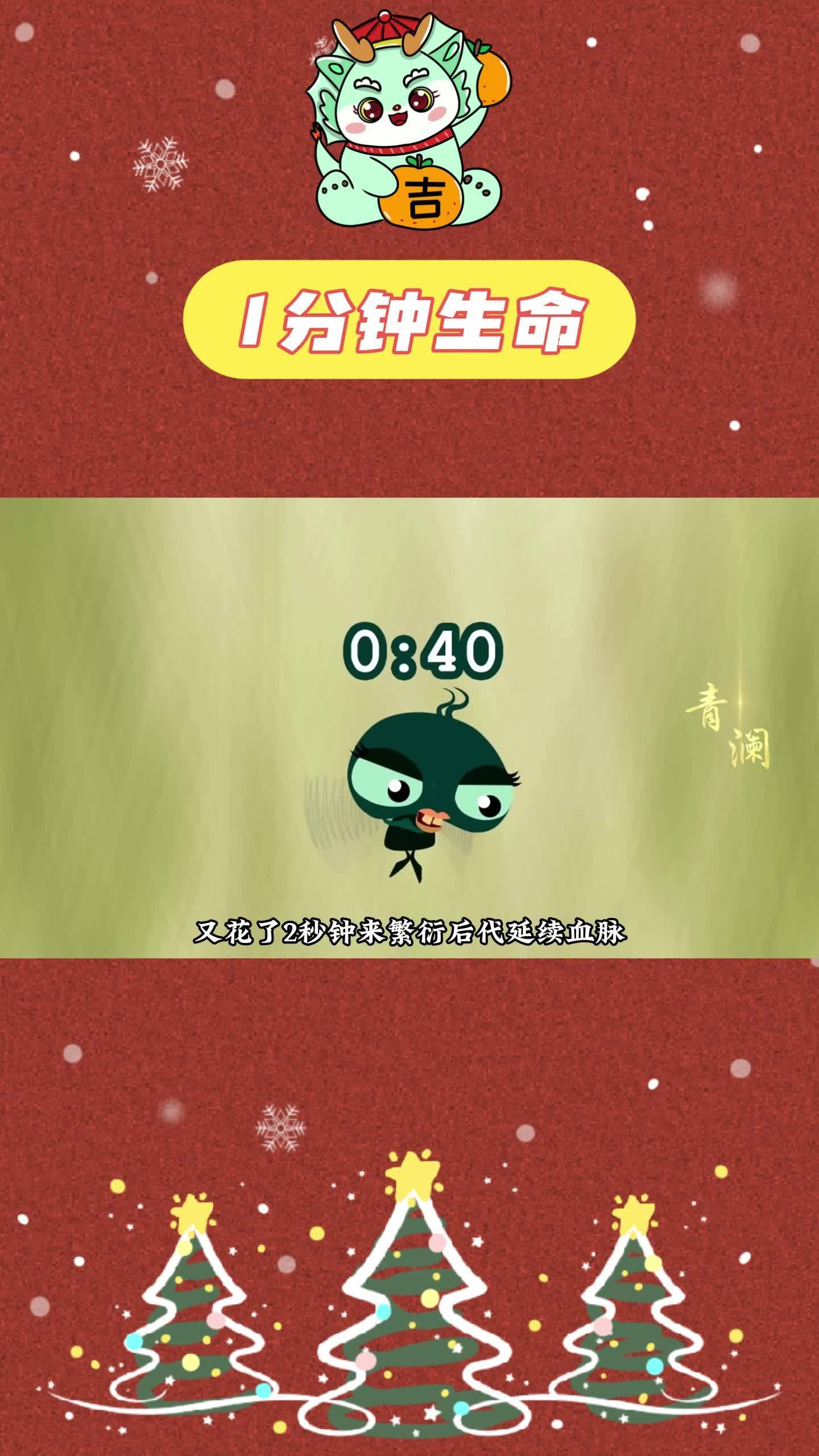 小苍蝇竟然在生命的最后1分钟,变身成了价值连城的珍宝!
