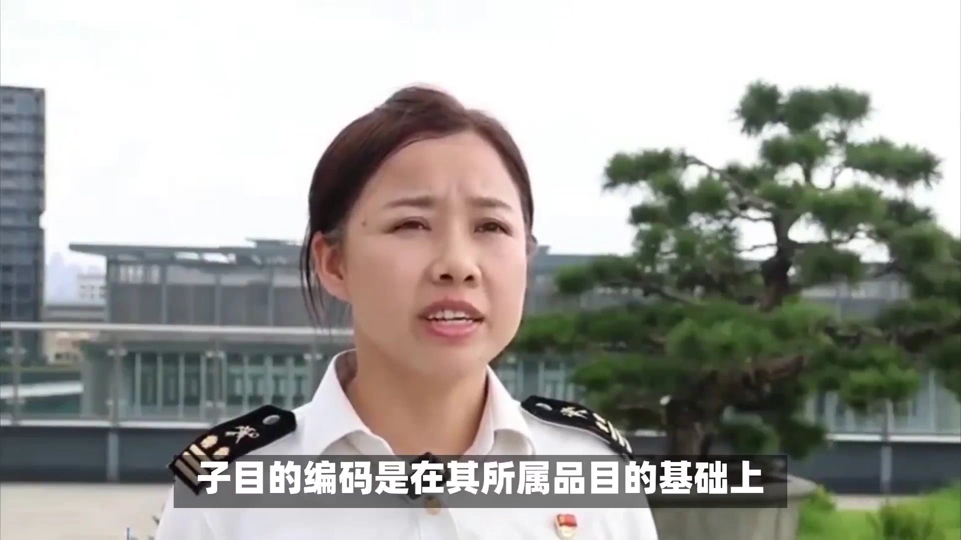 Hs编码6位数分别是代表了什么意思?